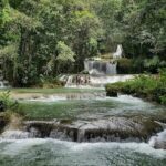 Appleton Estate, YS Falls and Pelican Bar Day Trip from Kingston - Transportation, Duration, and Group Size