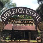 Appleton Rum Factory, YS Falls, and Reggae Horseback Ride & Swim Combo Tour - Authentic Experiences and Travelers’ Feedback