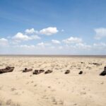 Aral Sea Tour with Khiva-Samarkand and Bukhara and Tashkent - In-Depth Breakdown of the Itinerary