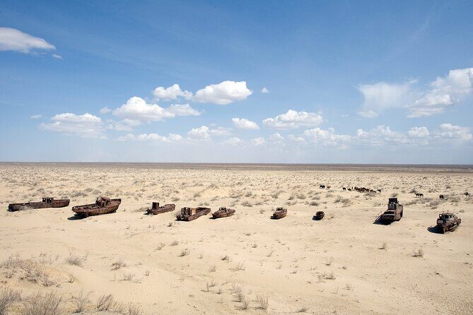 Aral Sea Tour with Khiva-Samarkand and Bukhara and Tashkent - In-Depth Breakdown of the Itinerary