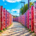 Arashiyama Autumn Leaves & Sanzen-in Temple Tour from Osaka/kyoto - Final Thoughts: Who Is This Tour Best For?