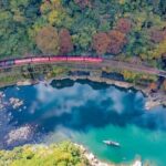 Arashiyama Sanzen-In Temple & Sagano Train Tour from Osaka - What Travelers Say (Based on Reviews)