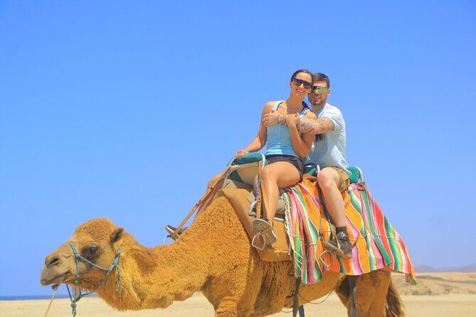 Arch Camel Ride and Glass Boat Tour - Authentic Experiences and Practical Tips