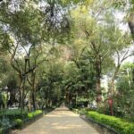 Architecture of Mexico City's La Condesa: Audio Guide - What’s Included and What to Keep in Mind