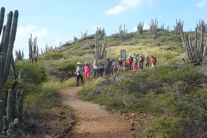 Arikok Adventurous Hiking Experience in Aruba - Who Should Consider This Tour?