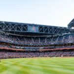 Arizona Diamondbacks Baseball Game Ticket at Chase Field - Authentic Reviews and What They Reveal
