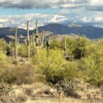 Arizona: Great Western Trail Jeep Tour at Rio Verde - The Itinerary and Its Charm