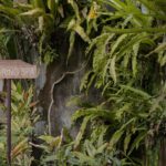 Aromatherapy Massage - A Closer Look at the Aromatherapy Massage Experience