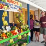 Around Town/Bahamian Cooking Experience - Authenticity and Local Flavor