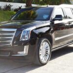 Arrival Luxury Transportation: Punta Cana International Airport to Hotels (1-5) - The Real-World Perspective: Reviews and Insights