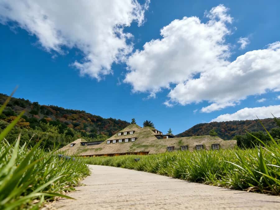Art and Cultural Odyssey in Kansai - Ninja Legends Come Alive at Koka Ninja Village