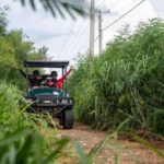 Art and Forest Way Combo Full Day Tour - Why Travelers Love This Tour