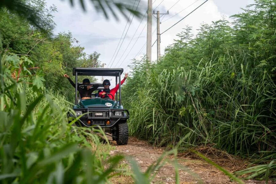 Art and Forest Way Combo Full Day Tour - Why Travelers Love This Tour