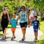 Art And Forest Way Half Day Tour - Detailed Breakdown of the Itinerary