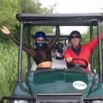 Art And Forest Way Half Day Tour - Exploring the Itinerary: What You’ll Actually Do