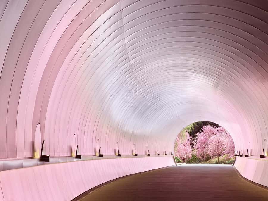 Art Pavilion × Night SakuraKansai Spring Day Tour - The Miho Museum and "Peach Blossom Spring"