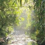 Artisan Puertorrican Winery and Distillery Tour - Authenticity and Quality: What Travelers Say