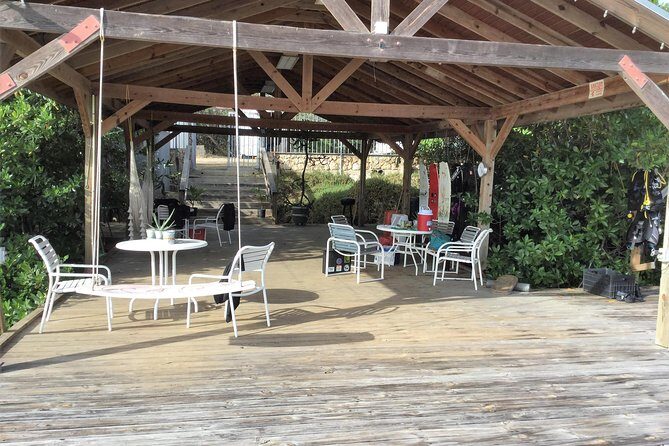 Aruba 1-Tank guided Dive for certified divers with rental equipment - Authentic Insights from Previous Divers