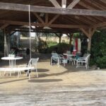 Aruba 1-Tank guided UV Night Dive for certified divers with rental equipment - What to Expect from the Fluorescent Night Dive in Aruba