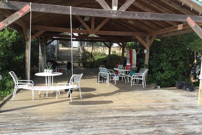 Aruba 1-Tank guided UV Night Dive for certified divers with rental equipment - What to Expect from the Fluorescent Night Dive in Aruba