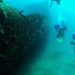 Aruba 2-Tank Dive Excursion for Certified Divers - The Dive Experience: What You Can Expect