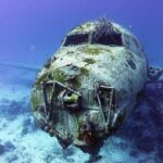 Aruba 2-Tank guided Dive for certified divers / own equipment - Who Should Consider This Tour?