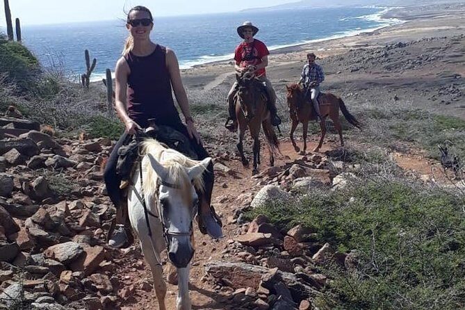 Aruba 2,5 hrs Horseback Riding For Advanced Riders - The Cost and Value