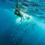 Aruba Afternoon Snorkel Sail aboard Palm Pleasure Catamaran - The Sum Up