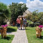 Aruba Beach Ecological Horseback Ride - Authentic Experiences: What Travelers Say