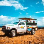 Aruba Cave Pool and Secret Beach Safari Tour - Final Thoughts