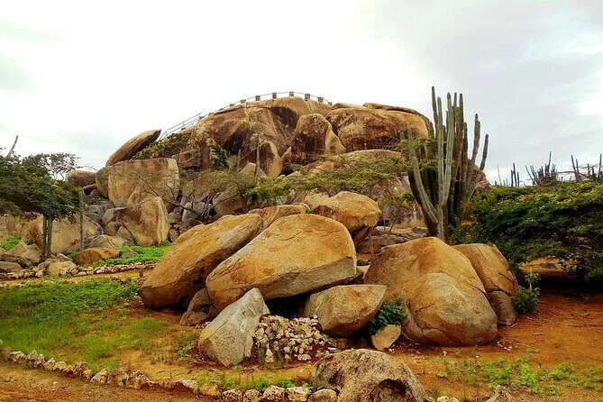 Aruba Cruise Port Tours - Who Is This Tour Best For?