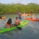 Aruba Glass Bottom Kayak Tour through the Mangrove Forest - Who Should Book This Tour?