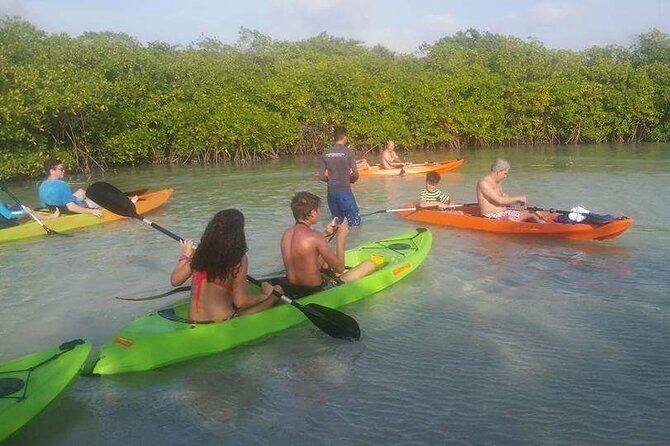 Aruba Glass Bottom Kayak Tour through the Mangrove Forest - Who Should Book This Tour?