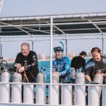 Aruba Guided Night Dive Adventure: Shallow Reefs or Shipwrecks - The Marine Life and Underwater Scenes