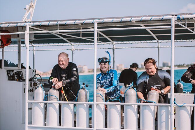 Aruba Guided Night Dive Adventure: Shallow Reefs or Shipwrecks - The Marine Life and Underwater Scenes