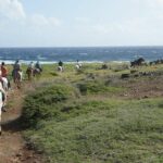 Aruba Horseback Riding Tour to Hidden Lagoon - Who This Tour Is Perfect For