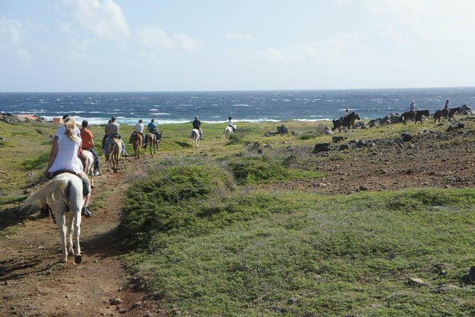 Aruba Horseback Riding Tour to Hidden Lagoon - Who This Tour Is Perfect For