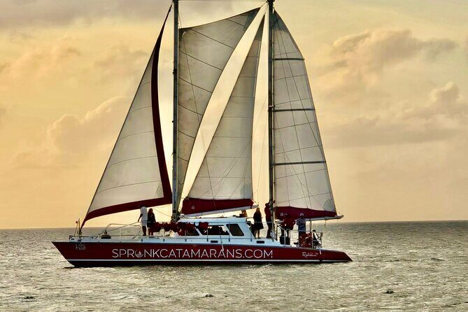 Aruba Morning Snorkeling or Sunset Sail to Boca Catalina With BBQ - The Value and Practical Considerations