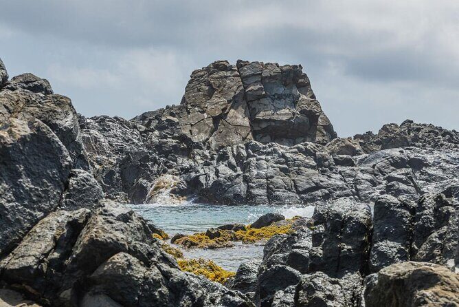 Aruba National Park Tour with Natural Pool & Baby Beach Snorkel - Transportation and Group Size