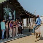 Aruba North Coastline: Small-Group Horseback Riding Tour - Authentic Reviews: What Past Travelers Are Saying