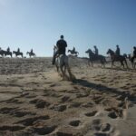 Aruba Private, 2 Hour Horseback Riding Tour For Advanced Riders - Detailed Review of the Aruba Horseback Riding Experience