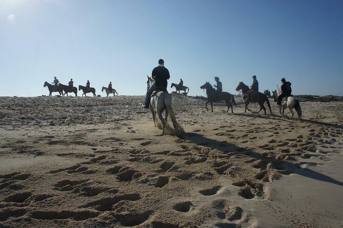 Aruba Private, 2 Hour Horseback Riding Tour For Advanced Riders - Detailed Review of the Aruba Horseback Riding Experience