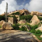 Aruba Shore Excursion: The Highlights and Delights Tour - Authentic Travel Experience