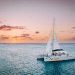 Aruba Sunset Cruise plus Seaside Dinner - Who Should Book This Tour?