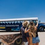 Aruba with Bus and Hop-on Hop-off Tour - The Sum Up: Is This Tour Right for You?