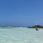 Aruban Local Lunch and Baby Beach Snorkeling - The Lunch: A Taste of Aruba