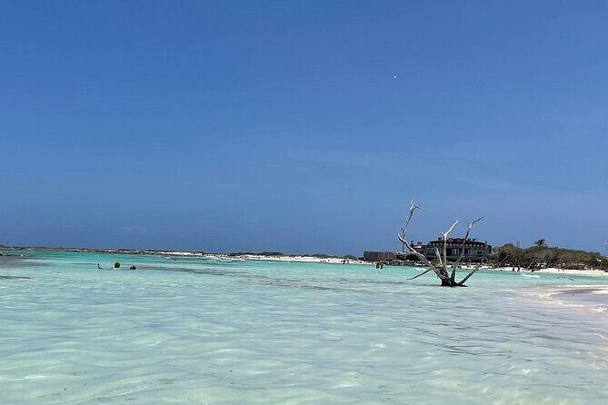 Aruban Local Lunch and Baby Beach Snorkeling - The Lunch: A Taste of Aruba