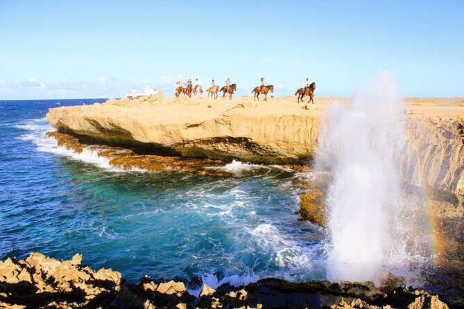 Aruba's Northern Coast Horseback Adventure - The Sum Up: Is This Tour for You?
