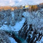 Asahiyama Zoo, Christmas Tree, Fairy Terrace Day Tour | Hokkaido - Real Traveler Feedback and Insights