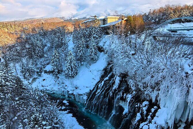 Asahiyama Zoo, Christmas Tree, Fairy Terrace Day Tour | Hokkaido - Real Traveler Feedback and Insights